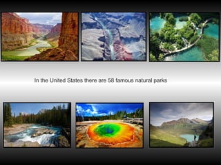 Usa National Parks | PPT