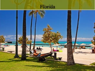 USA - basic facts | PPT