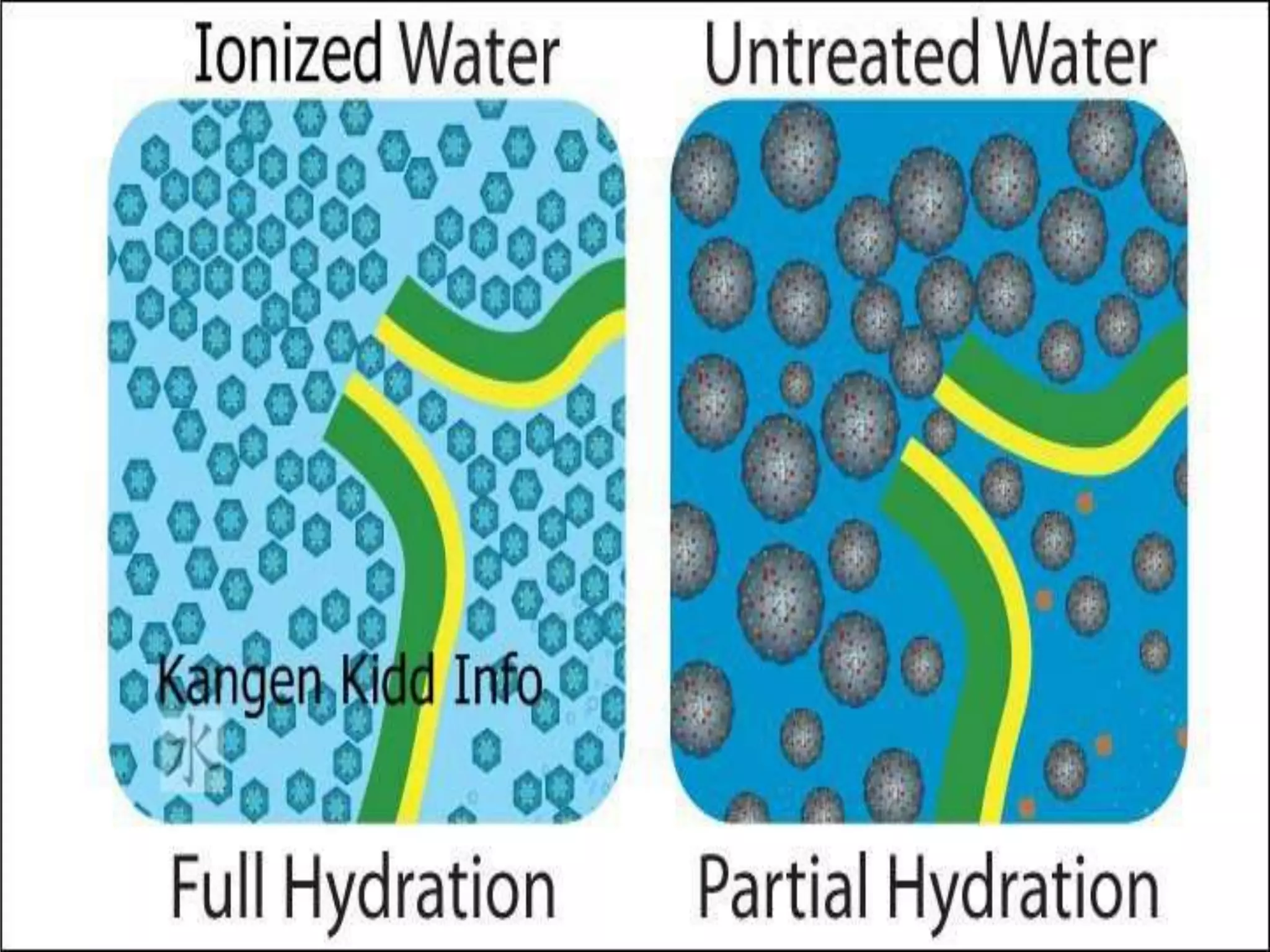 Mark Cristal PPT for Kangen Water. | PPT