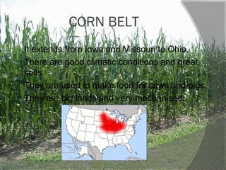 American belts | PPT