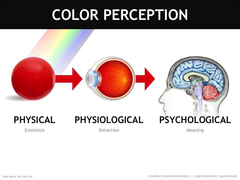 COLOR PERCEPTION Image source: dot-color.com