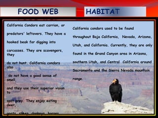 U.S.A endangered animals ppt. | PPT