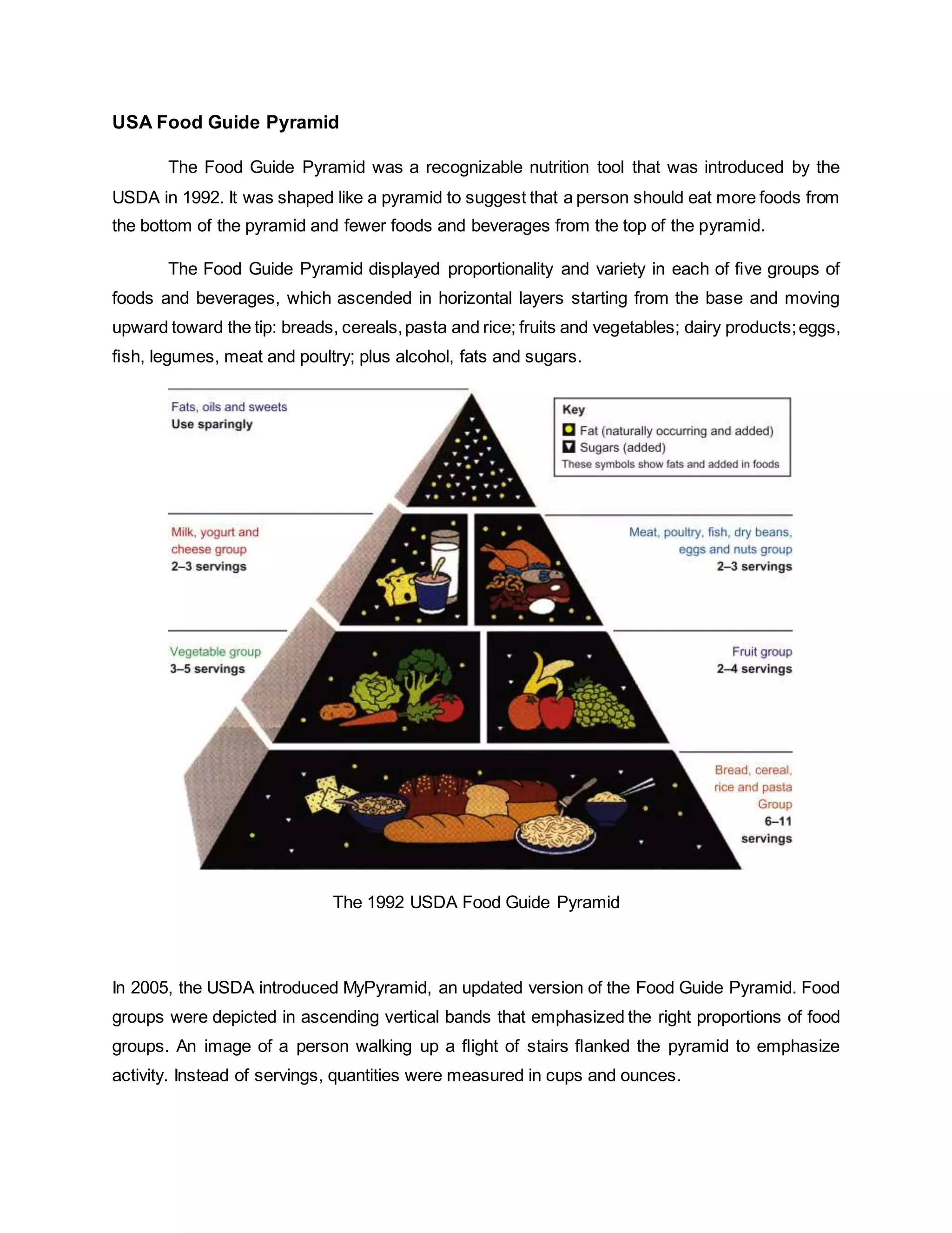 Usa food guide pyramid | DOCX