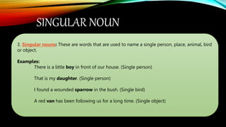 Usage-of-noun-and-pronoun.pptx