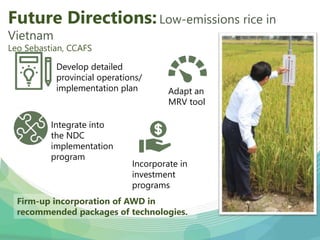 USAID & CCAFS Low-Emission Rice Webinar: Options, ambition, feasibility ...