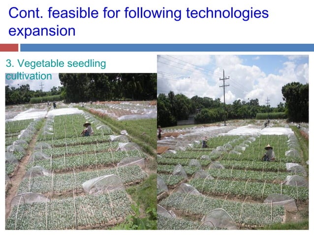 USAID PRICE Project Horticulture technology adoption in Bangladesh: by Faruki | PPT ...