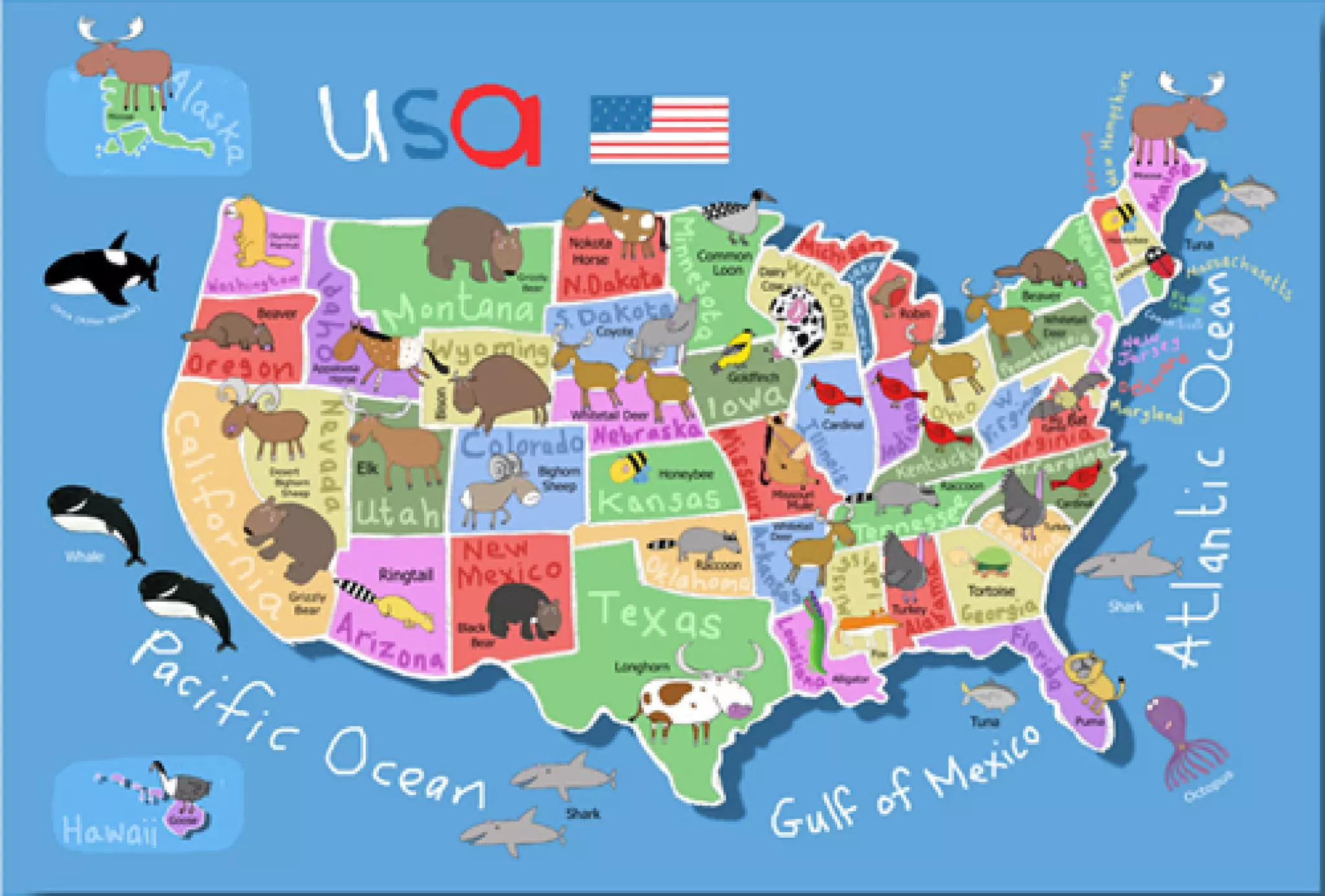 US Kids Wall Map | PDF