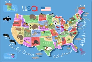 US Kids Wall Map | PDF