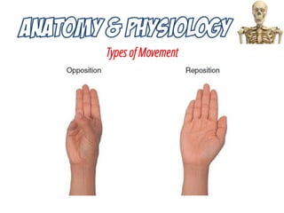Opposition Reposition