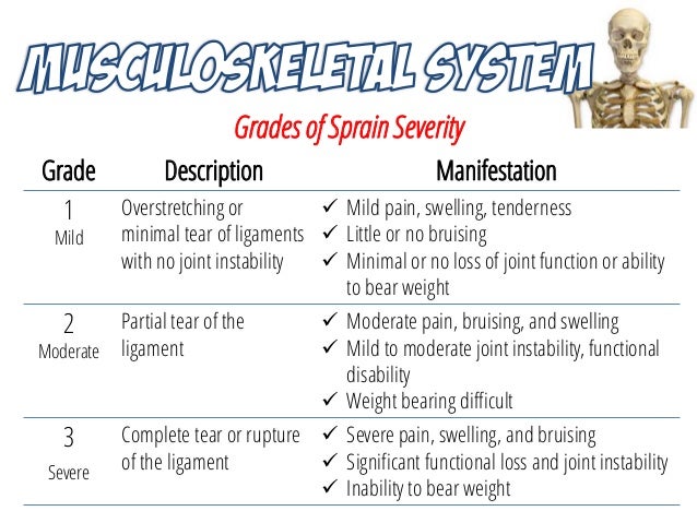 Musculoskeletal System Trauma