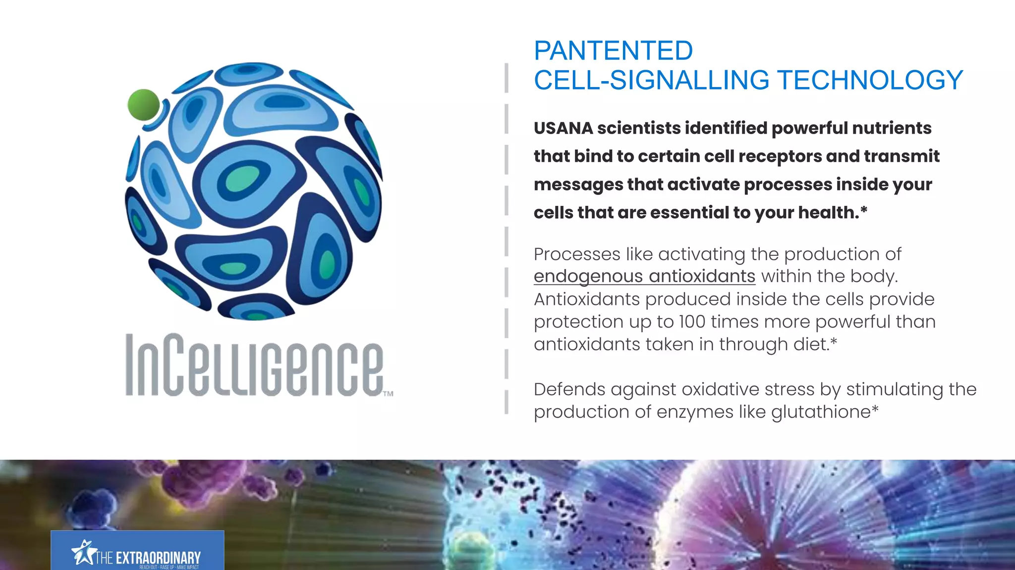 Usana Company Profile.pptx