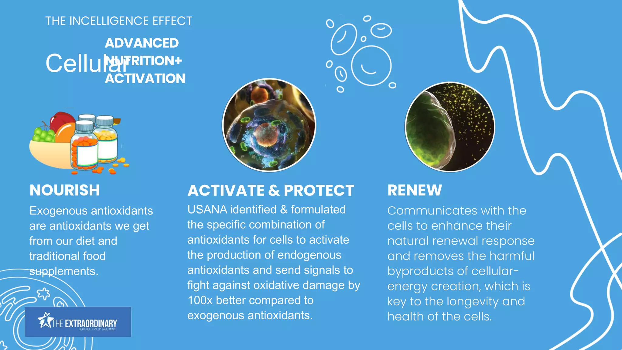 Usana Company Profile.pptx