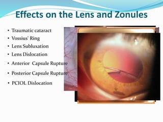 Us and UBM examination | PPT