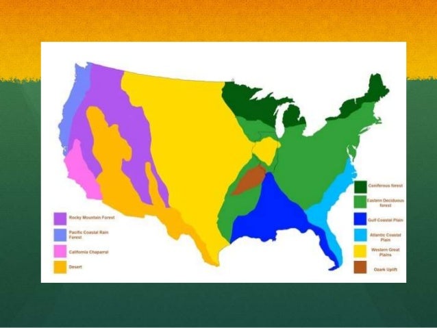 American Biome Map American Biome Map