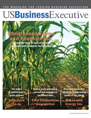 US Business Executive magazine - Broadwind Energy Inc. | PDF