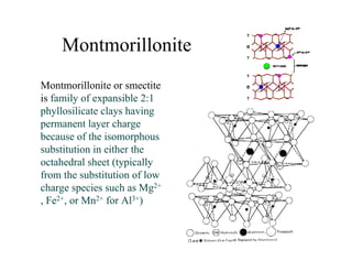 Usc anderson-clays | PDF