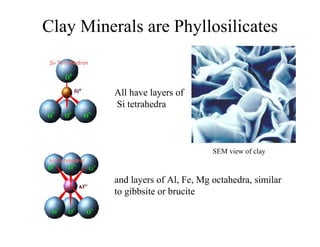 Usc anderson-clays | PDF