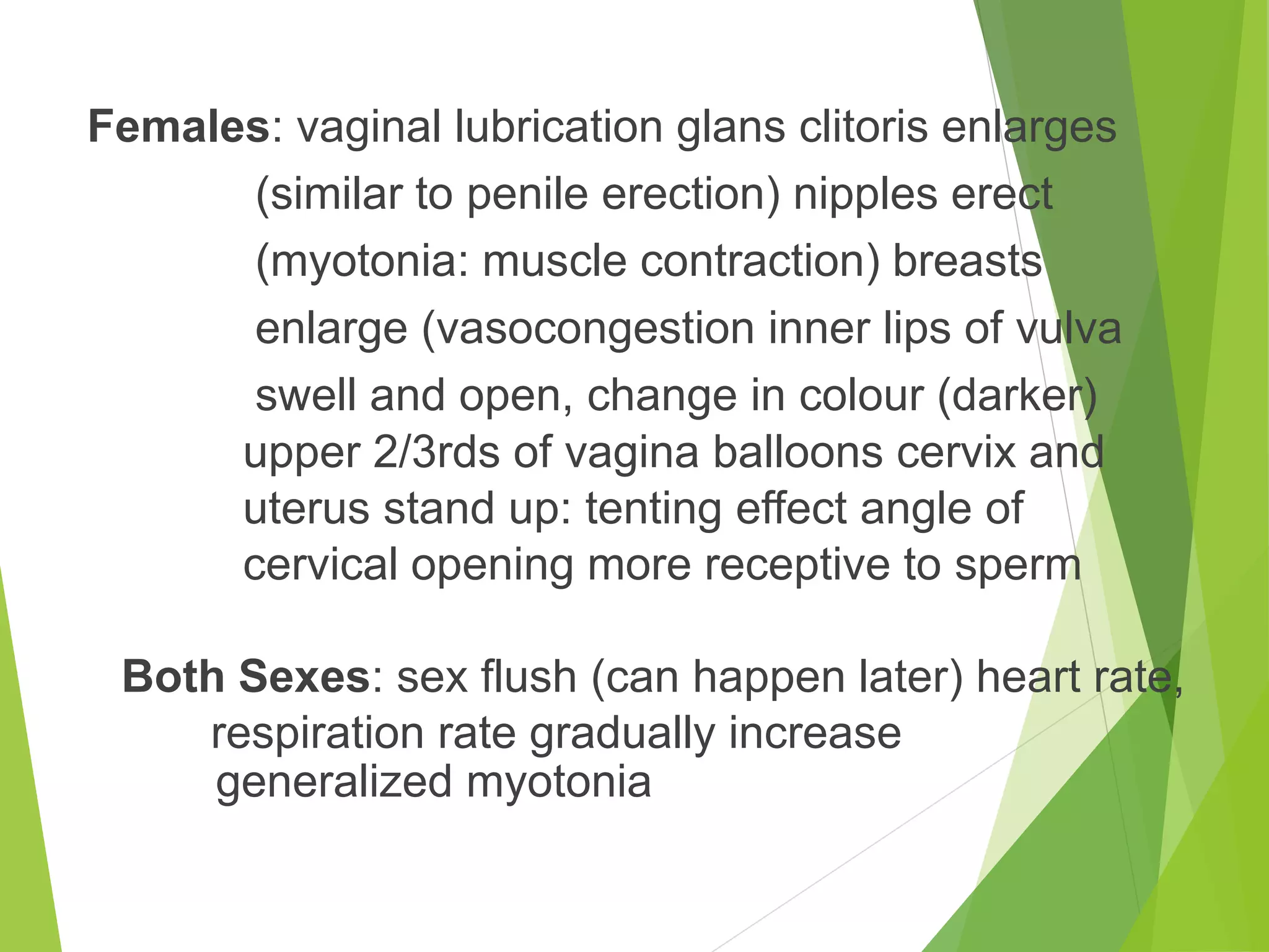 Unpacking The Self | PPTX