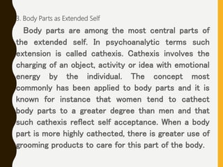 The Material Self | PPTX