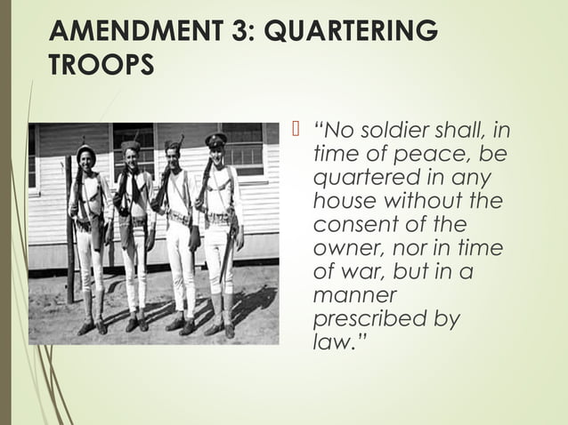 US Constitution | PPT | Elections | Politics