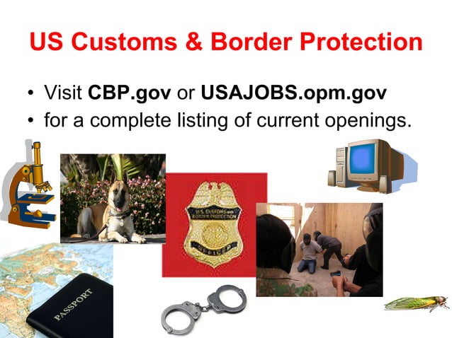 US Customs & Border Protection/Jobs for Everyone | PPT
