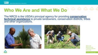 USDA Natural Resources Conservation Service - Services | PDF