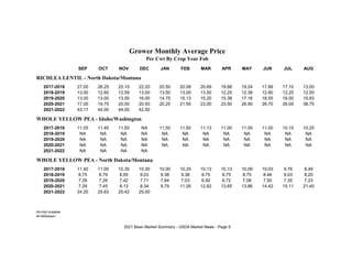 USDA Bean Market.pdf