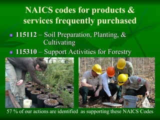 USDA Forest Service Briefing | PDF