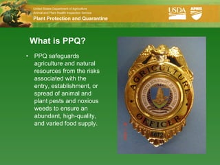 Avoid Moving Pests by Jeffrey A. Davidson, USDA | PPT
