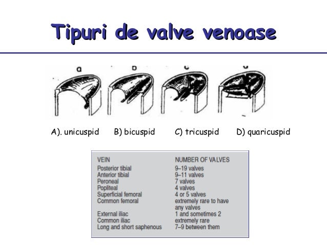 Us Doppler in evaluarea refluxului venos