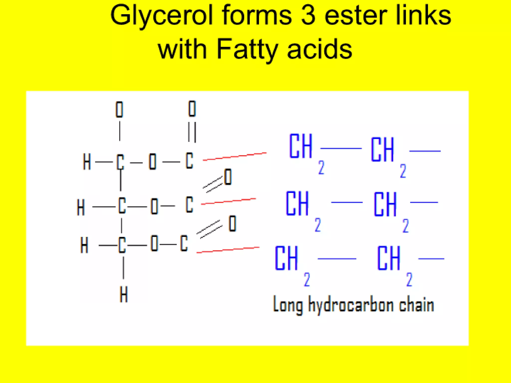 Use Of Esters And Fatty Acids | PDF