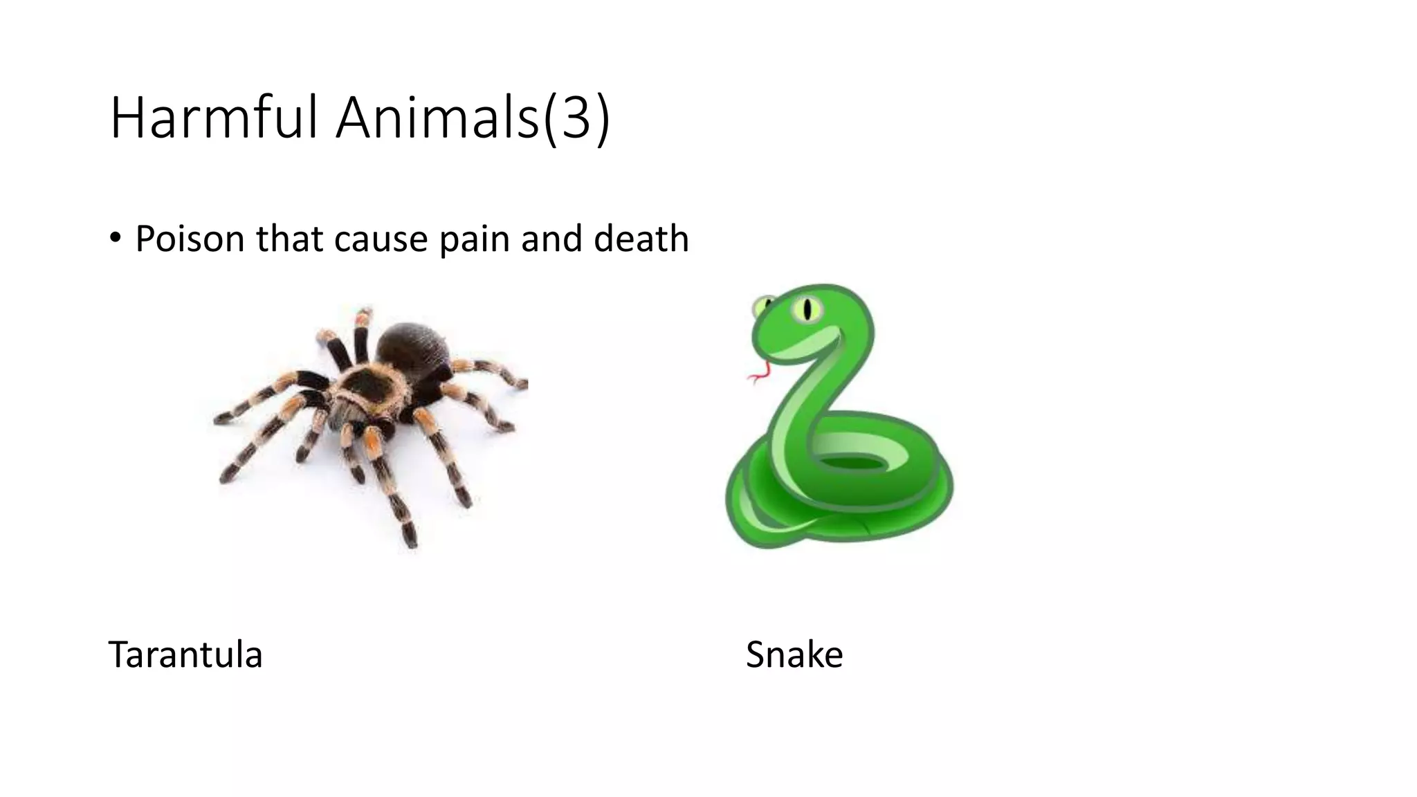 Useful and harmful Animals.pptx