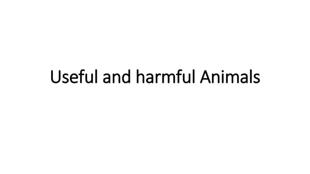 Useful and harmful Animals.pptx