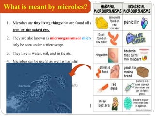 Useful and harmful microbes - Part I | PPTX