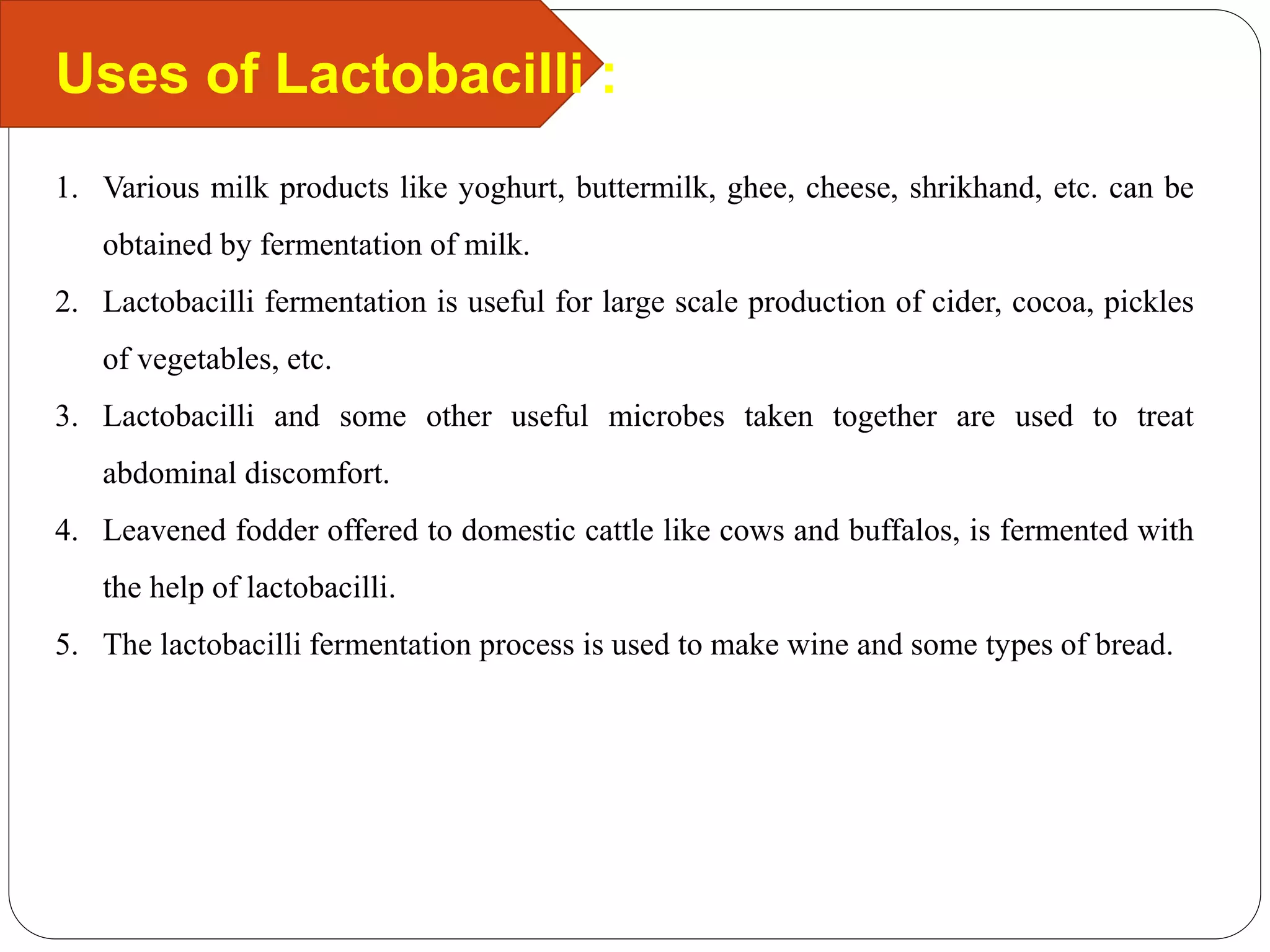Useful microbes - Lactobacilli | PPTX