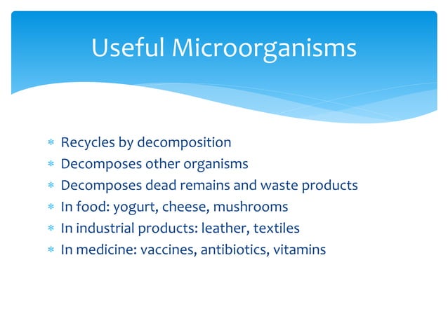 Useful and harmful microorganisms | PPTX | Science
