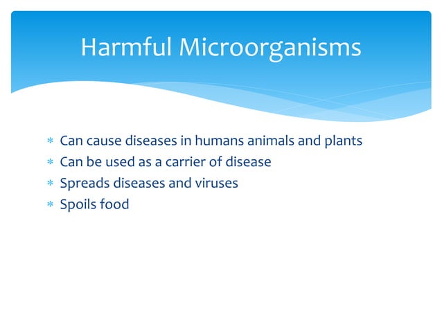 Useful and harmful microorganisms | PPTX | Science
