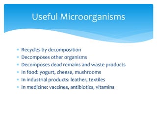 Useful Microorganisms