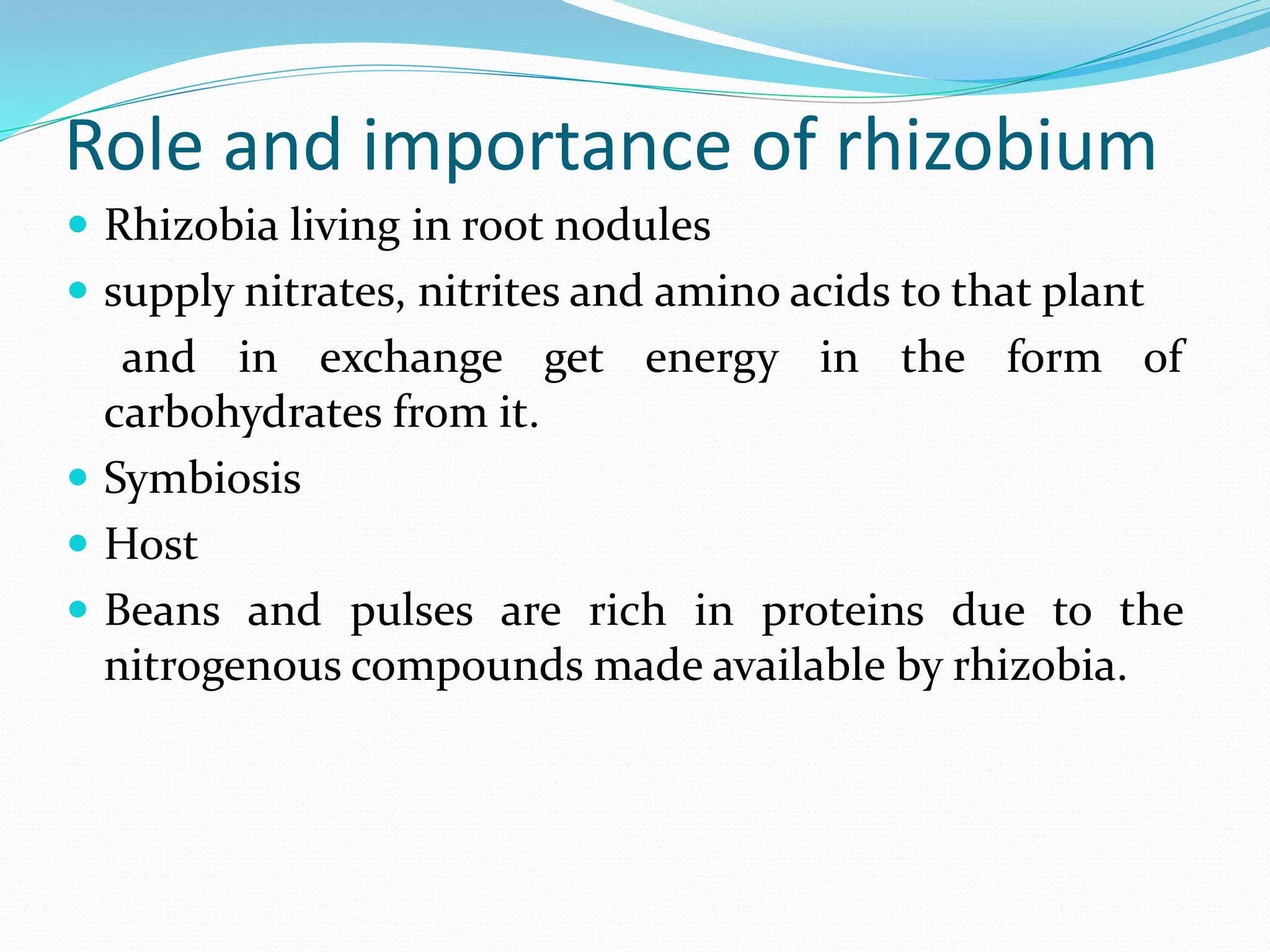 Useful micro organisms ||8. Useful and Harmful Microbes | PPTX