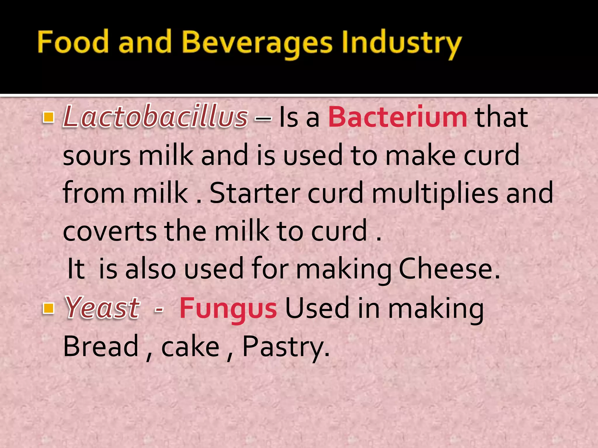Useful & Harmful microbes | PPTX