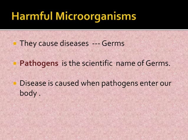 Useful & Harmful microbes | PPTX