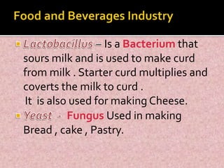 Useful & Harmful microbes | PPTX