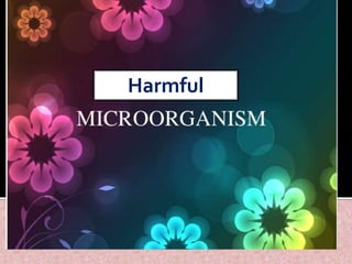 Harmful Microorganisms With Names