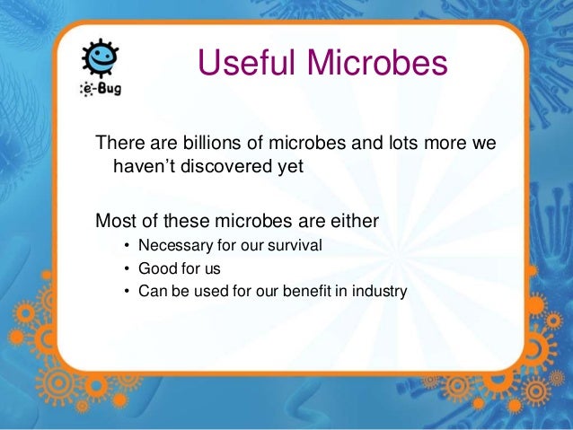 Useful Microorganisms Images
