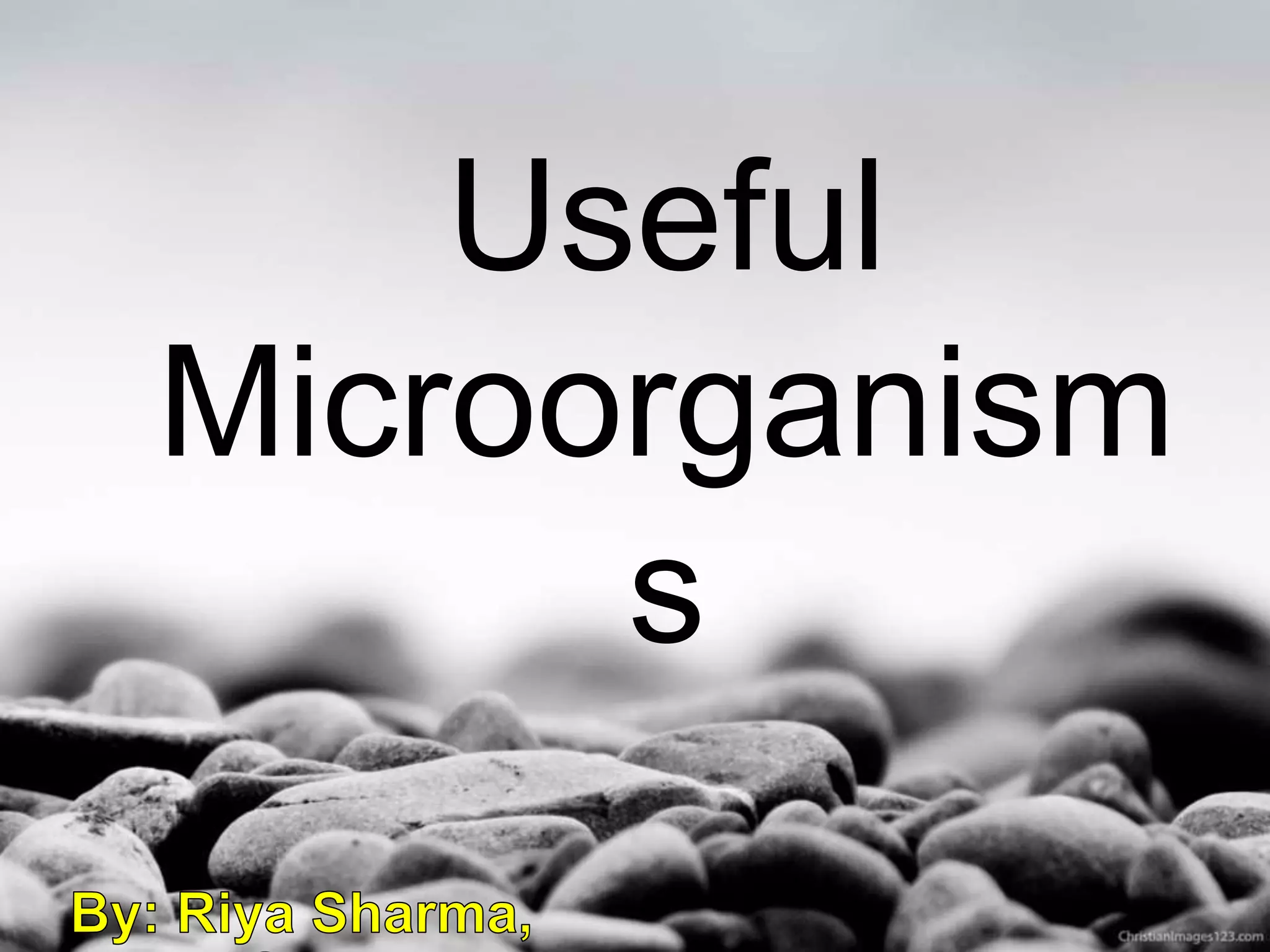Useful microorganisms | PPTX