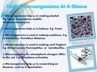 Useful Microorganisms