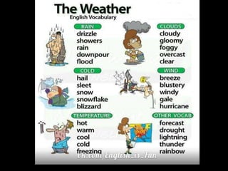 Useful vocabulary | PPT