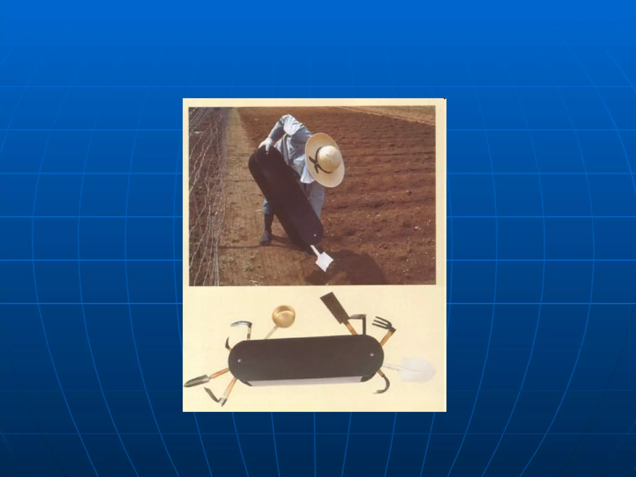 Useless Japanese Inventions | PPT