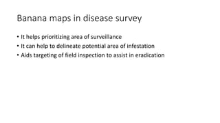 Use of banana maps in survey | PDF