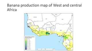Use of banana maps in survey | PDF